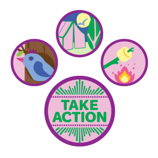 Award and Badge Explorer - Girl Scouts