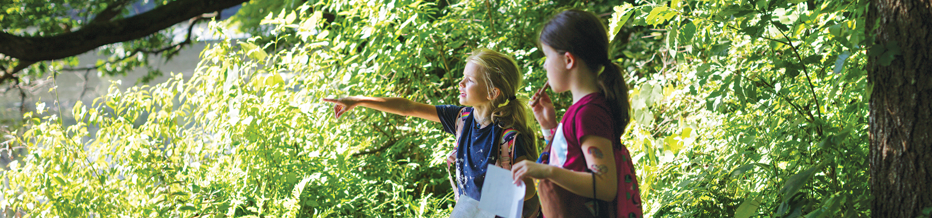 Daisy Animal Observers Badge Activity | Girl Scouts
