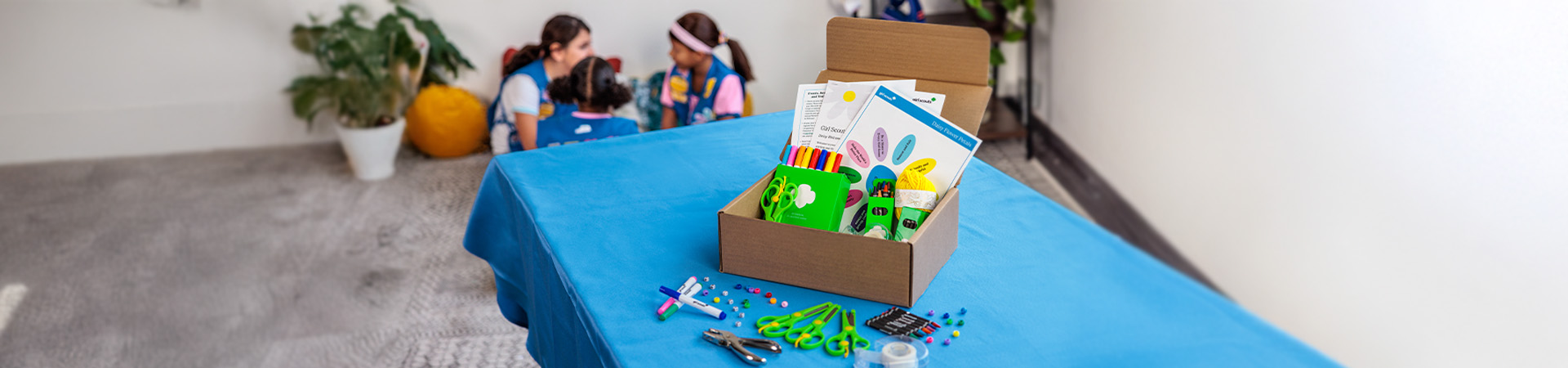 Girl Scout Experience Box