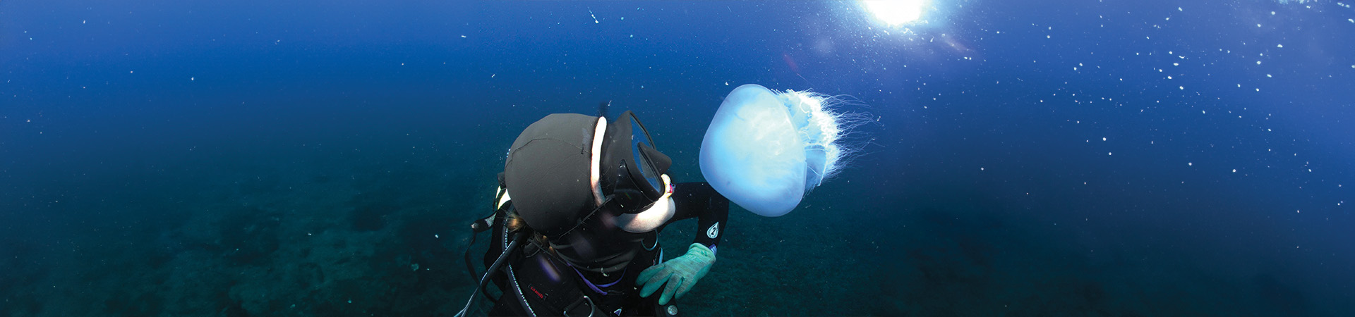 Finding Success in Field Science